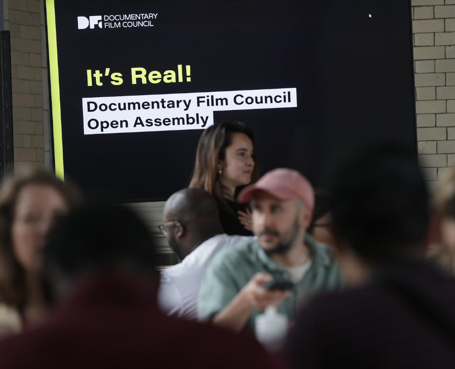 Newsletter #1: Next Steps for the DFC | Documentary Film Council